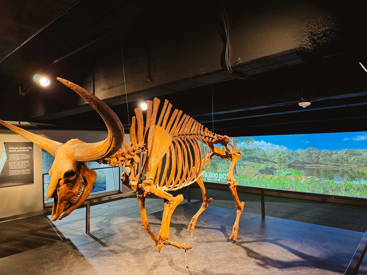 The Perfect Itinerary for Your Day Trip to Cincinnati, Ohio